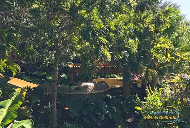Disney Coronado Springs Resort Pool, Pictures, 123-foot water slide