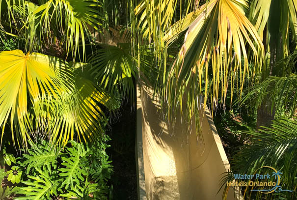 Disney Coronado Springs Resort Pool, Pictures, 123-foot water slide