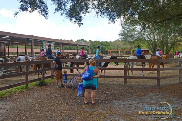 Disney’s Fort Wilderness Resort Horseback Riding