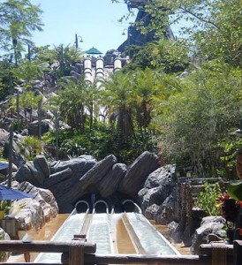 Disney Typhoon Lagoon Water Slides in Orlando